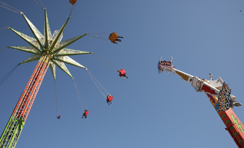 Create a Australian show rides Tier List - TierMaker