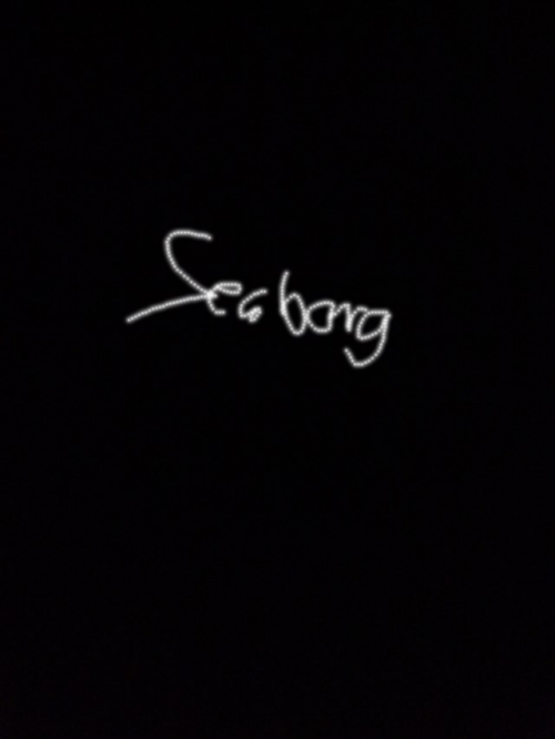 Create a babska seaborg Tier List - TierMaker