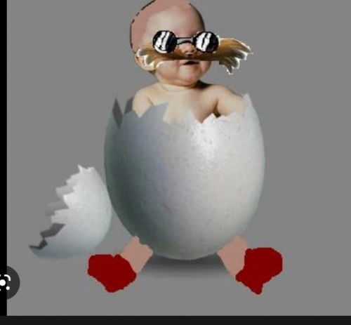 Baby shows for babies Tier List (Community Rankings) - TierMaker