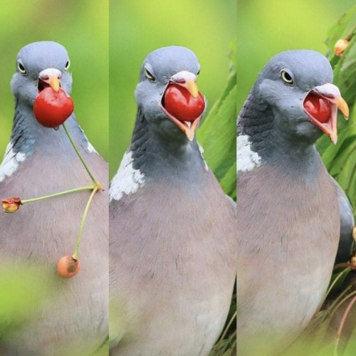 Baby Tier List (Community Rankings) - TierMaker