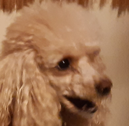 Create a Bad years Tier List - TierMaker