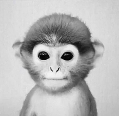 BALLIN EMO LORDS Tier List (Community Rankings) - TierMaker