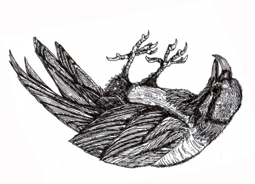 Create a Baltimore Ravens Most painful losses Tier List - TierMaker