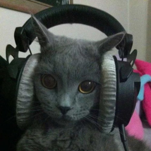 Barb/model faces roblox Tier List (Community Rankings) - TierMaker