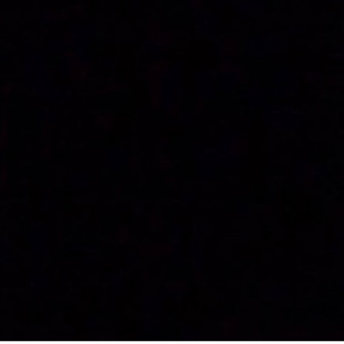 Create a Barnyard Animals Tier List - TierMaker