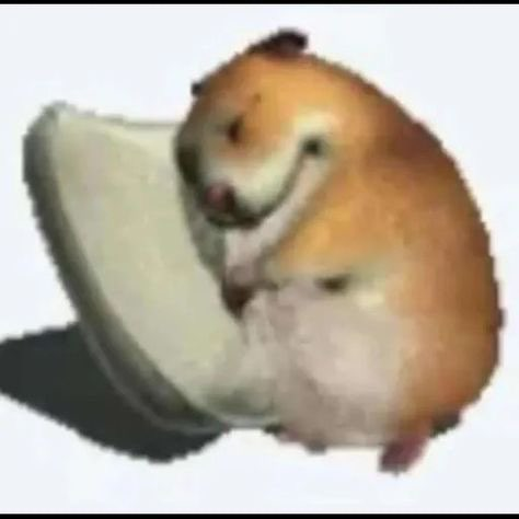 based roblox games Tier List (Community Rankings) - TierMaker