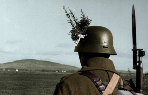 Create a Battlefield 1 Factions Tier List - TierMaker