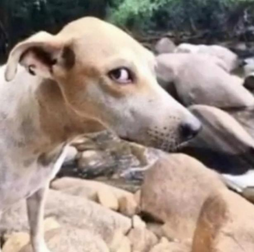 bbc prod Tier List (Community Rankings) - TierMaker