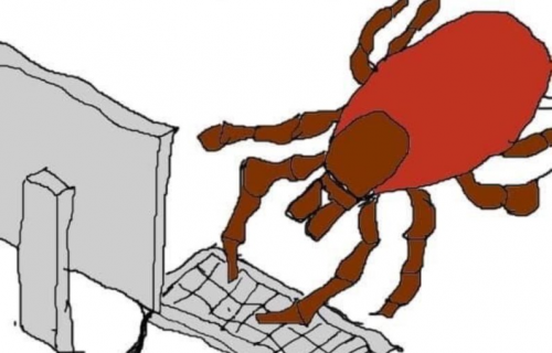 BearHiko Stardrop OC Tier List (Community Rankings) - TierMaker