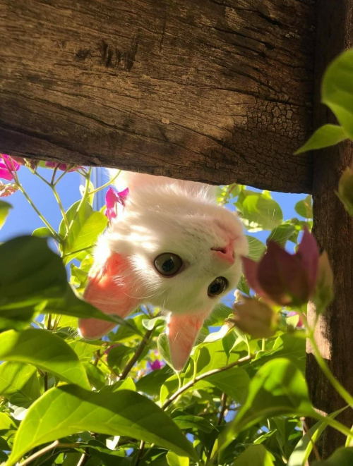 Create a beat snap divisor Tier List - TierMaker