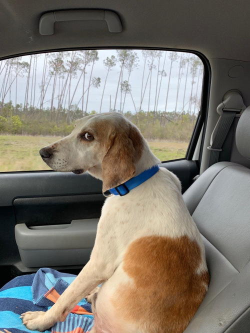 Create a Best albums Tier List - TierMaker