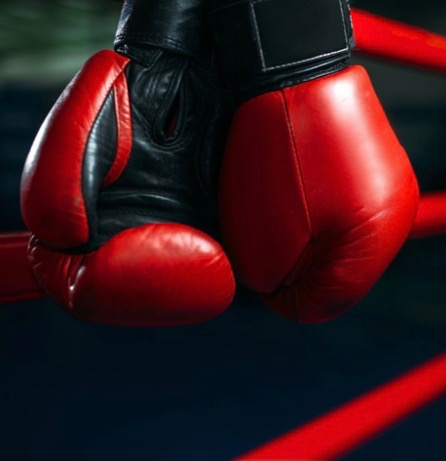 Create a Best boxers Tier List - TierMaker