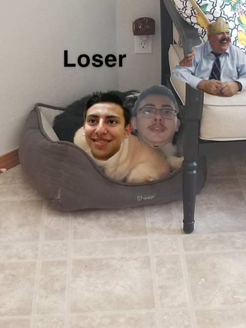 Best Doggo Tier List (Community Rankings) - TierMaker