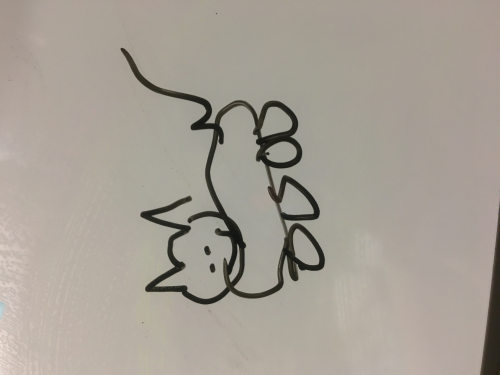 Create a best kitties Tier List - TierMaker