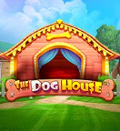 Best Slots Tier List (Community Rankings) - TierMaker