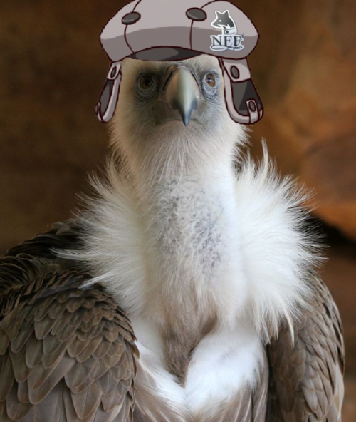 Create a Best Story (G) Tier List - TierMaker