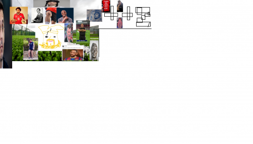 Best Tree Tier List (Community Rankings) - TierMaker