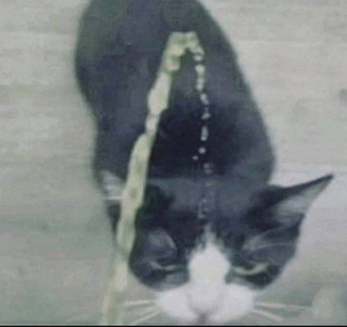 Create a BETS TIER LIST VST PLUGINS EVER Tier List - TierMaker