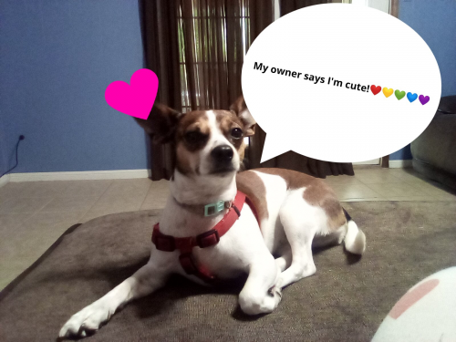 Create A Bfdi Character Tier List Tiermaker