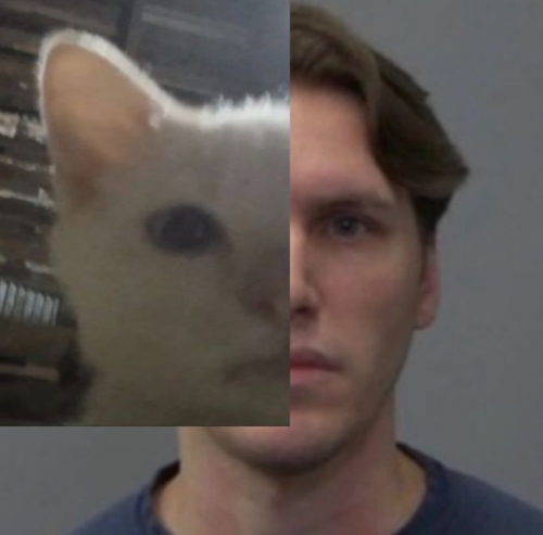 bftr tierlist 2023 Tier List (Community Rankings) - TierMaker