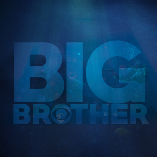 Create a Big Brother Surveillance Season Two Rankings Tier List - TierMaker