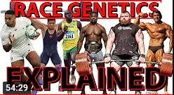 Create a black genetics Tier List - TierMaker