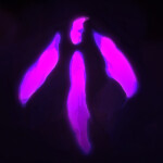 Black Magic Unleashed Tier List (Community Rankings) - TierMaker