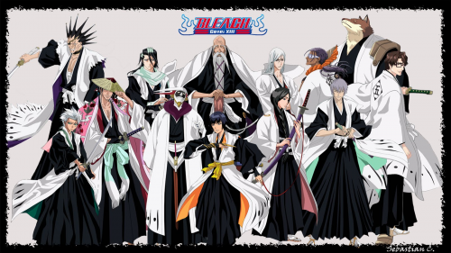 Create a Bleach Black Genie Captain And Visord Tier List - TierMaker