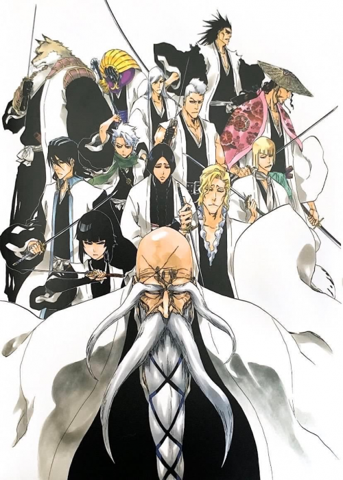 Bleach captain (now) Tier List (Community Rankings) - TierMaker