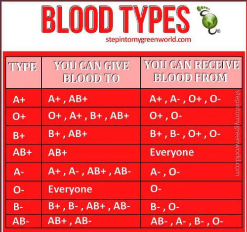 Create a Blood Types Tier List - TierMaker