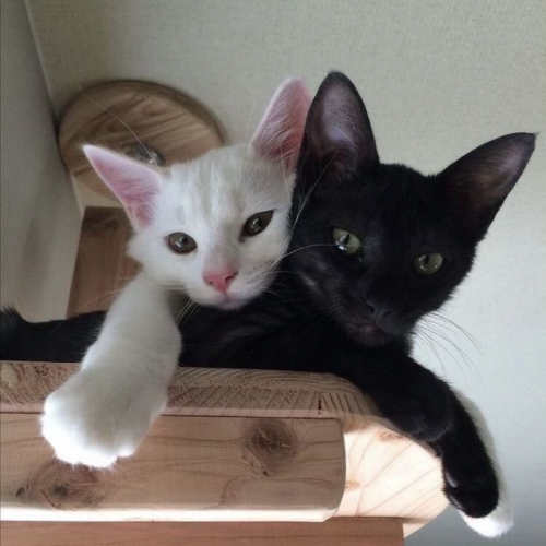 Create A Book Tropes Tier List Tiermaker