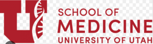 Brett Residency Rank List Tier List (Community Rankings) - TierMaker