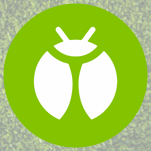 Bug-type Pokémon (Fully Evolved Only) Tier List (Community Rankings ...