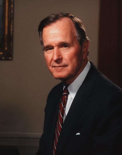Create a Bush Family Tree Tier List - TierMaker