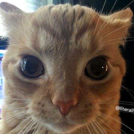 Create a BvH person Tier List - TierMaker