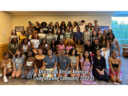 c2 ranking Tier List (Community Rankings) - TierMaker