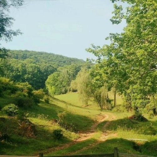 Cafi characters Tier List (Community Rankings) - TierMaker