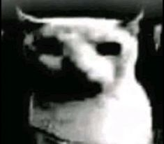 Create a cancer utu Tier List - TierMaker