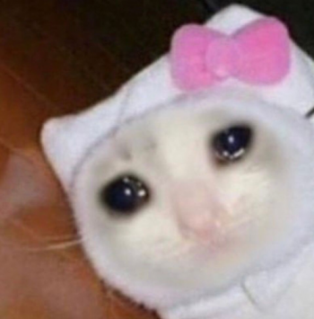 CAT MEMES Tier List (Community Rankings) - TierMaker