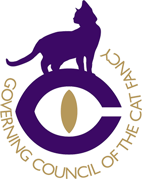 Create A Cat Tier List Tiermaker