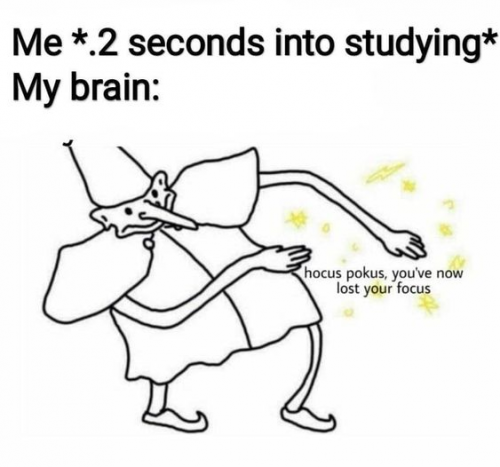 cc attractive scale Tier List (Community Rankings) - TierMaker