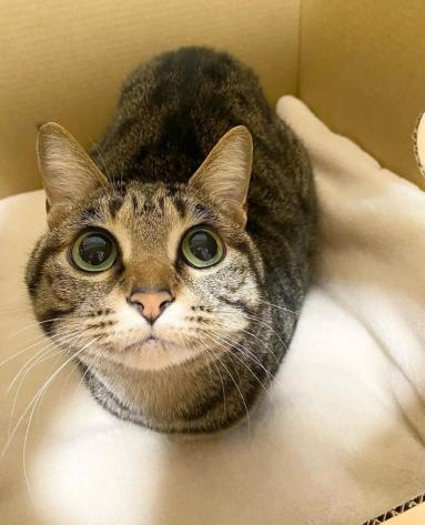 Characters with blood powers. Tier List (Community Rankings) - TierMaker