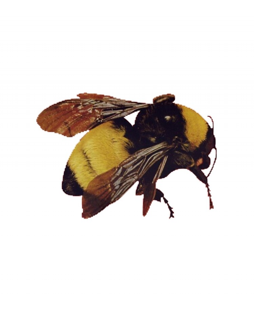 Cheeseverse Songs V2 Tier List (Community Rankings) - TierMaker