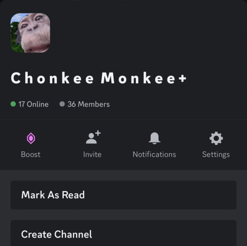 Create a Chonkee monkees + Tier List - TierMaker