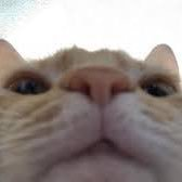 CHOPPED TEIRLIST (DTB CORD) Tier List (Community Rankings) - TierMaker