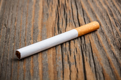 Cigga Tierlist Tier List (Community Rankings) - TierMaker