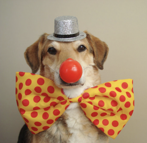 Create a Clown.gg (updated) Tier List - TierMaker