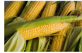 Corn Tier List (Community Rankings) - TierMaker