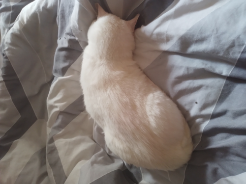 CraftersMC Money Methods Tier List (Community Rankings) - TierMaker