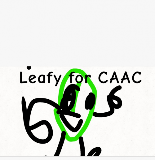 Create a Create a CAAC 2 Tier List - TierMaker